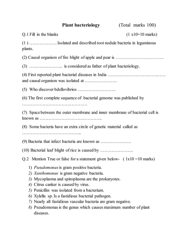 Paper plant bacteriology | DOCX | Gardening | Home & Garden