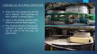 Paper Manufacturing process | PPTX