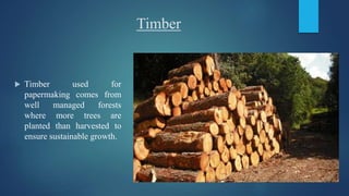 Paper Manufacturing process | PPTX