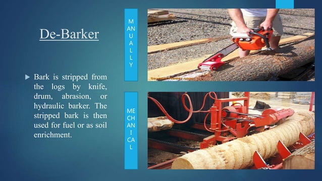 Paper Manufacturing process | PPTX | Woodworking | Arts and Crafts