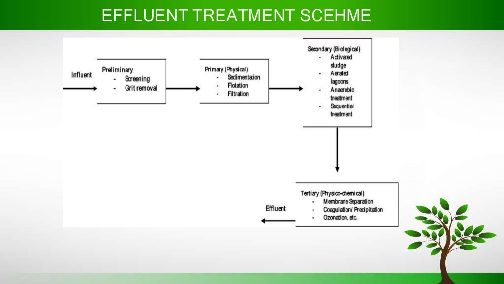 Paper Manufacturing Process paper-manufacturing-process