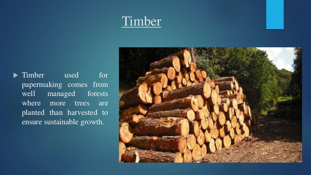 Paper Manufacturing Process paper-manufacturing-process