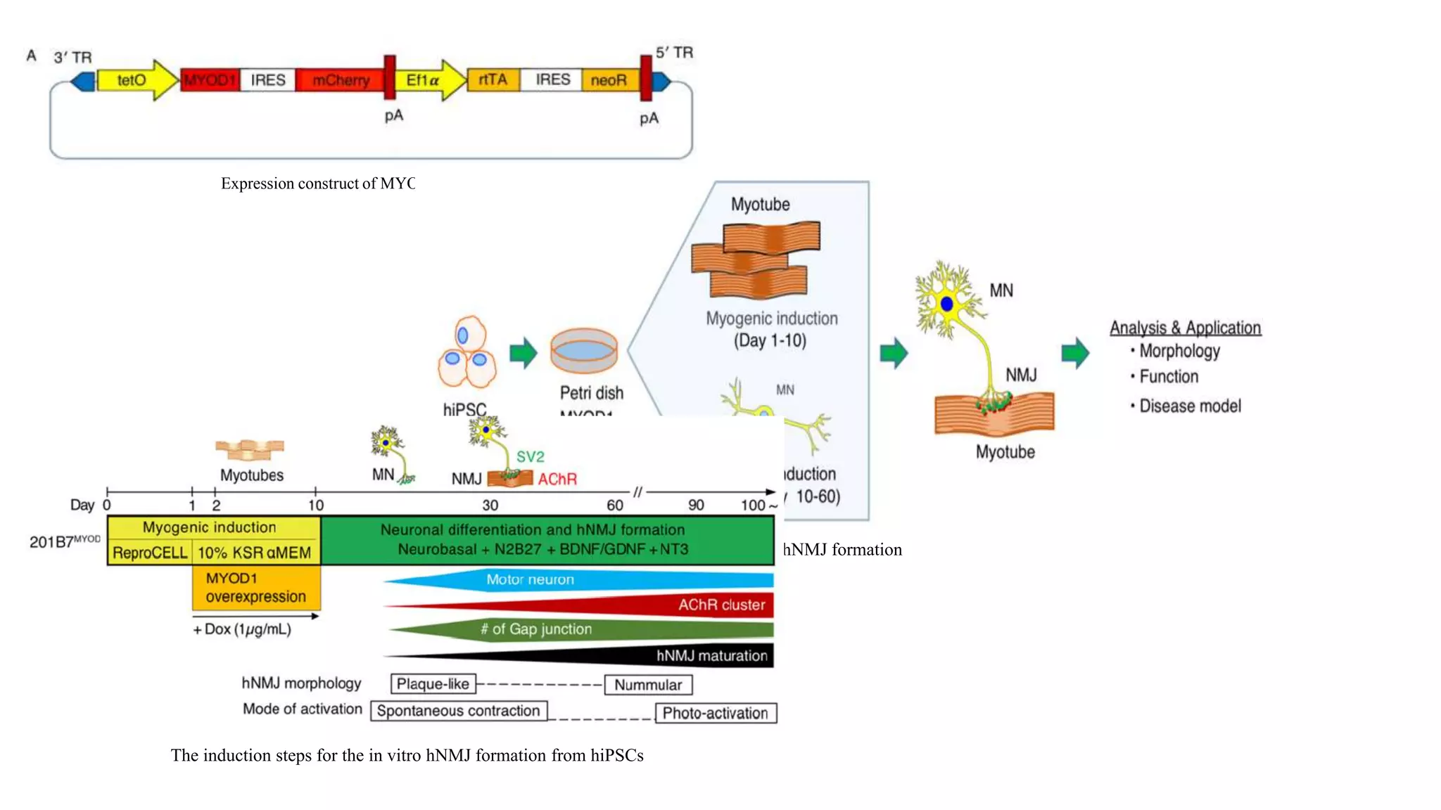 Paper presentation | PPTX