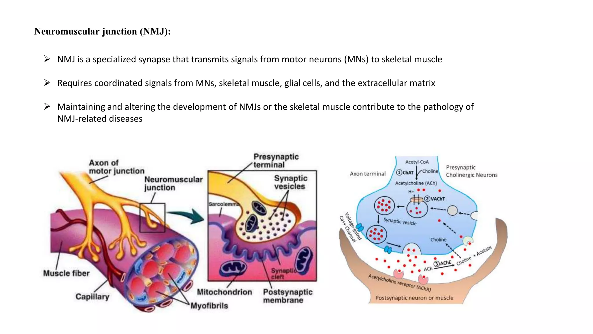 Paper presentation | PPTX