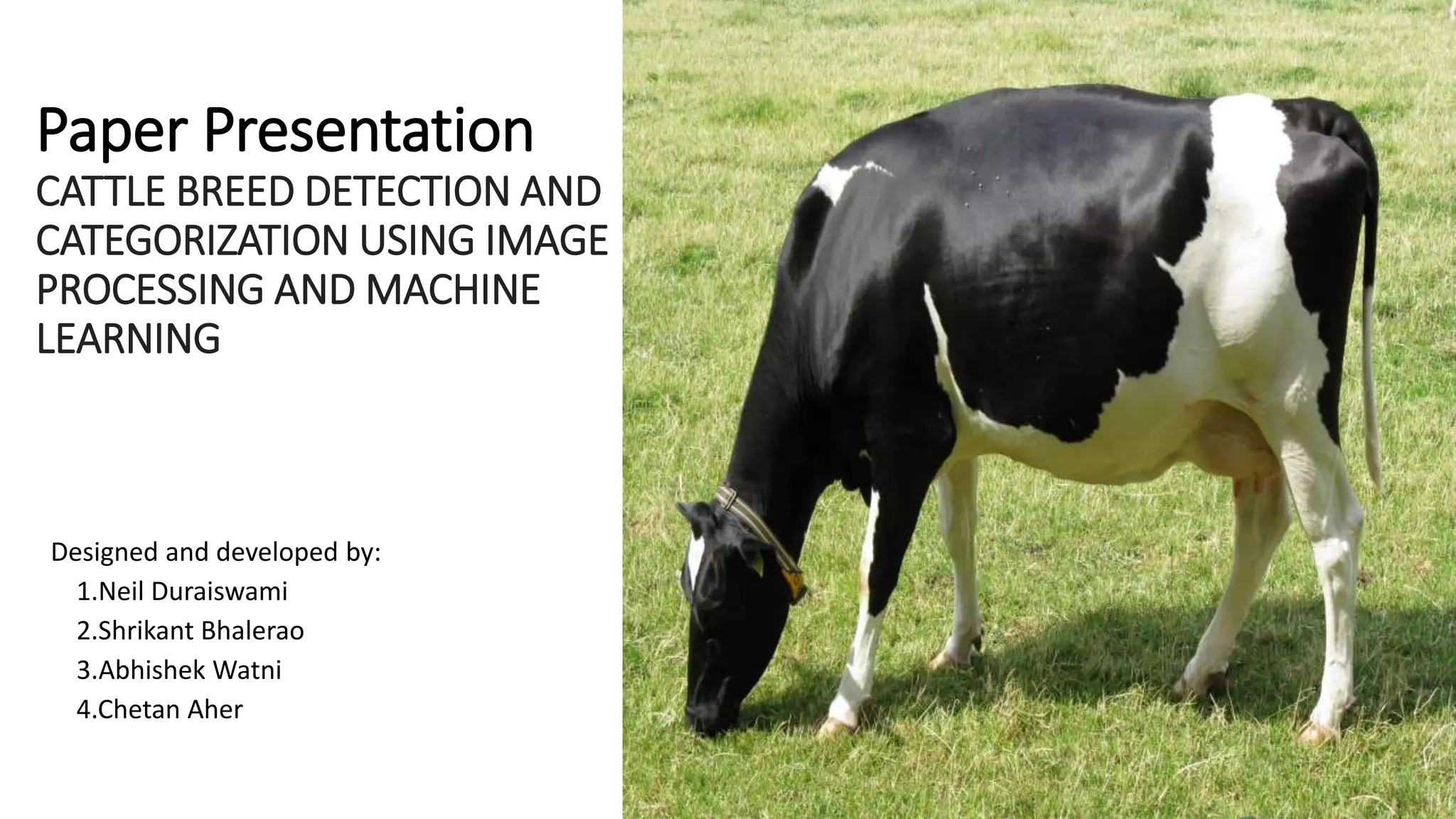 Paper Presentation on CATTLE BREED DETECTION AND CATEGORIZATION USING IMAGE PROCESSING AND ...
