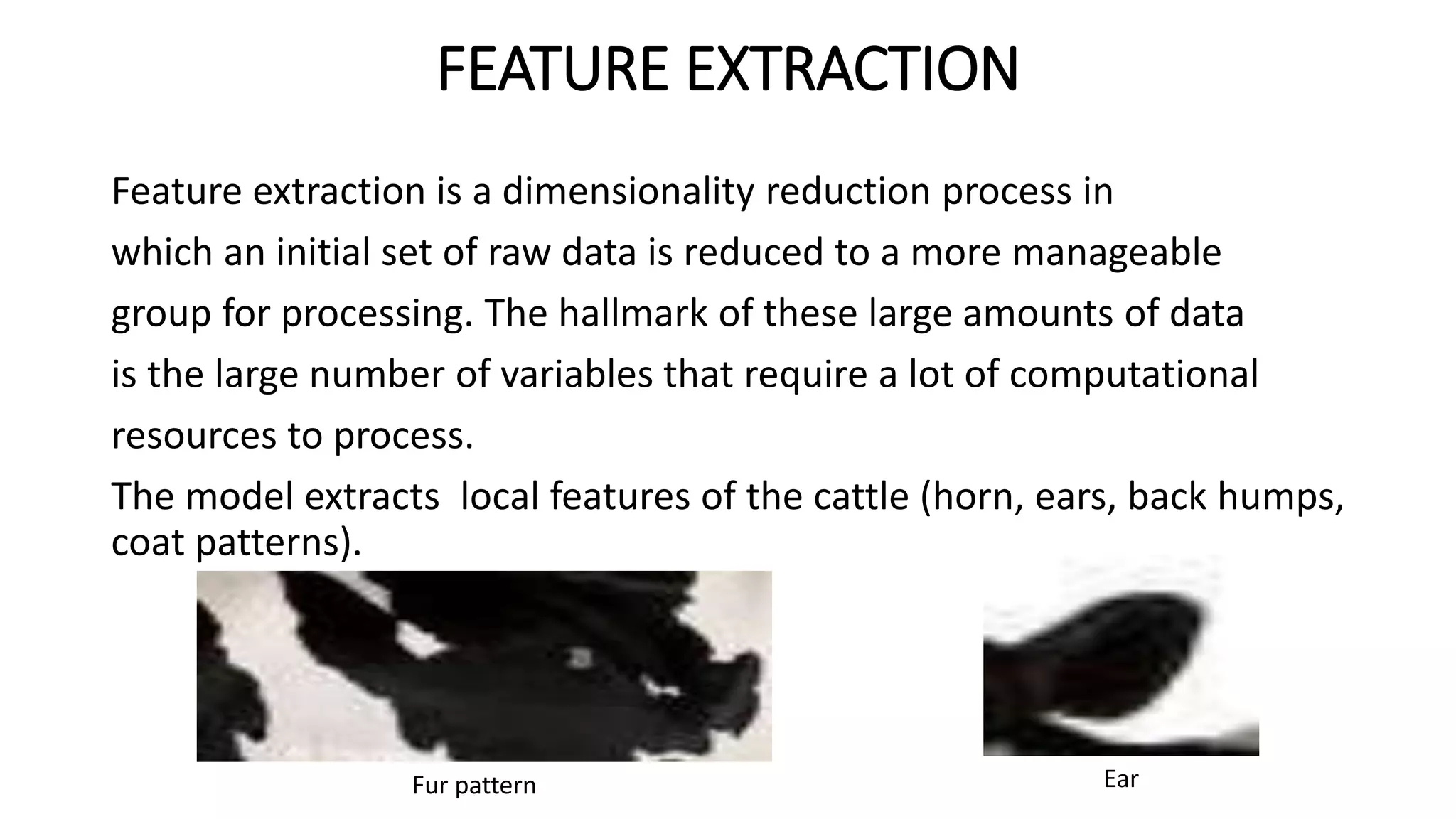 Paper Presentation On Cattle Breed Detection And Categorization Using Image Processing And