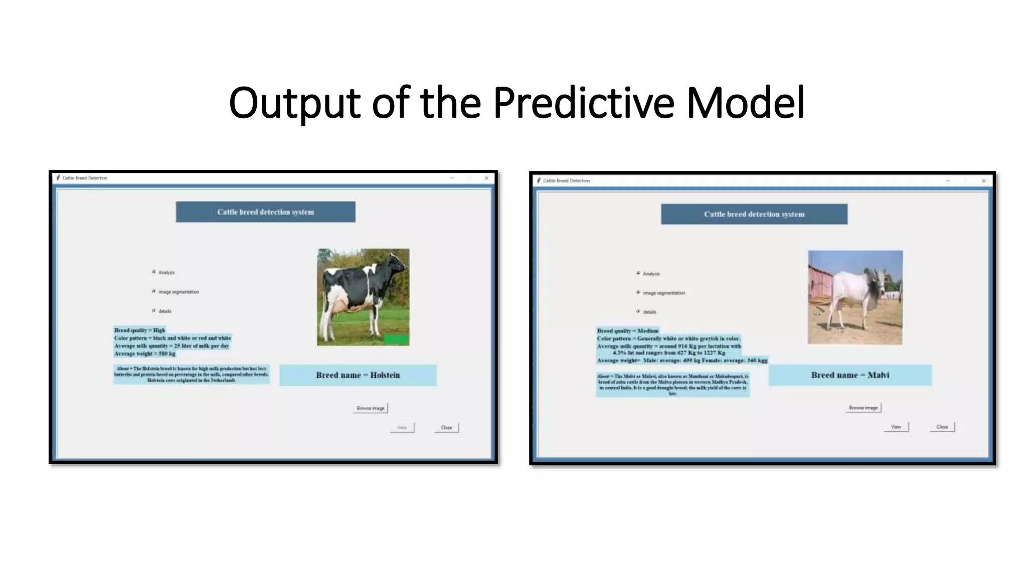 Paper Presentation on CATTLE BREED DETECTION AND CATEGORIZATION USING IMAGE PROCESSING AND ...