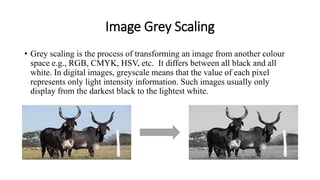 Paper Presentation on CATTLE BREED DETECTION AND CATEGORIZATION USING IMAGE PROCESSING AND ...