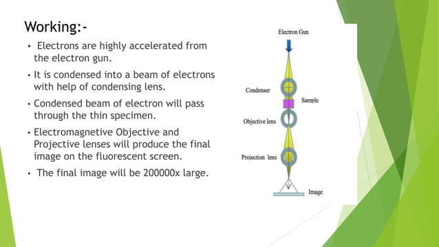 Transmission Electron Microscope.pptx | Physics | Science