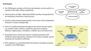 Paper presentation dystonia 031220 | PDF