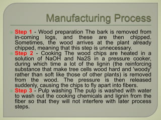 Paper production process | PPTX