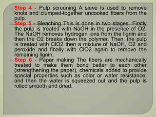 Paper production process | PPTX