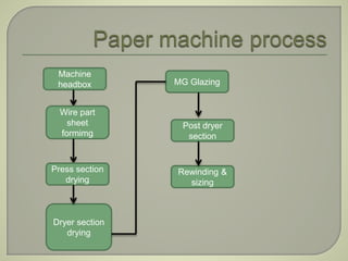 Paper production process | PPTX