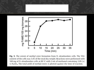 Biodiesel production by simultaneous extraction and conversion of total ...
