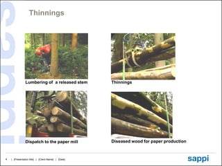 Paper technology : wood pulp - bleaching 1 | PDF