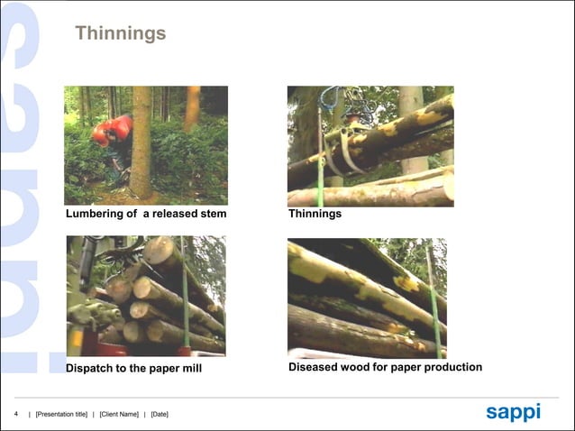 Paper technology : wood pulp - bleaching 1 | PDF