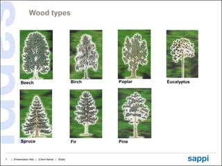 Paper technology : wood pulp - bleaching 1 | PDF