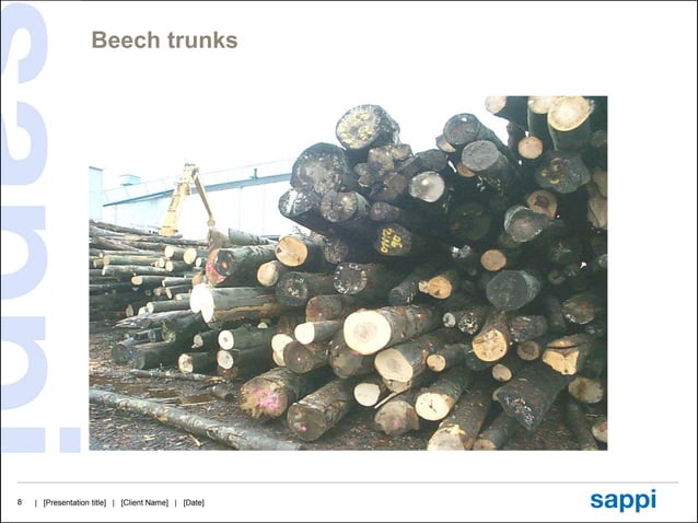 Paper technology : wood pulp - bleaching 1 | PDF