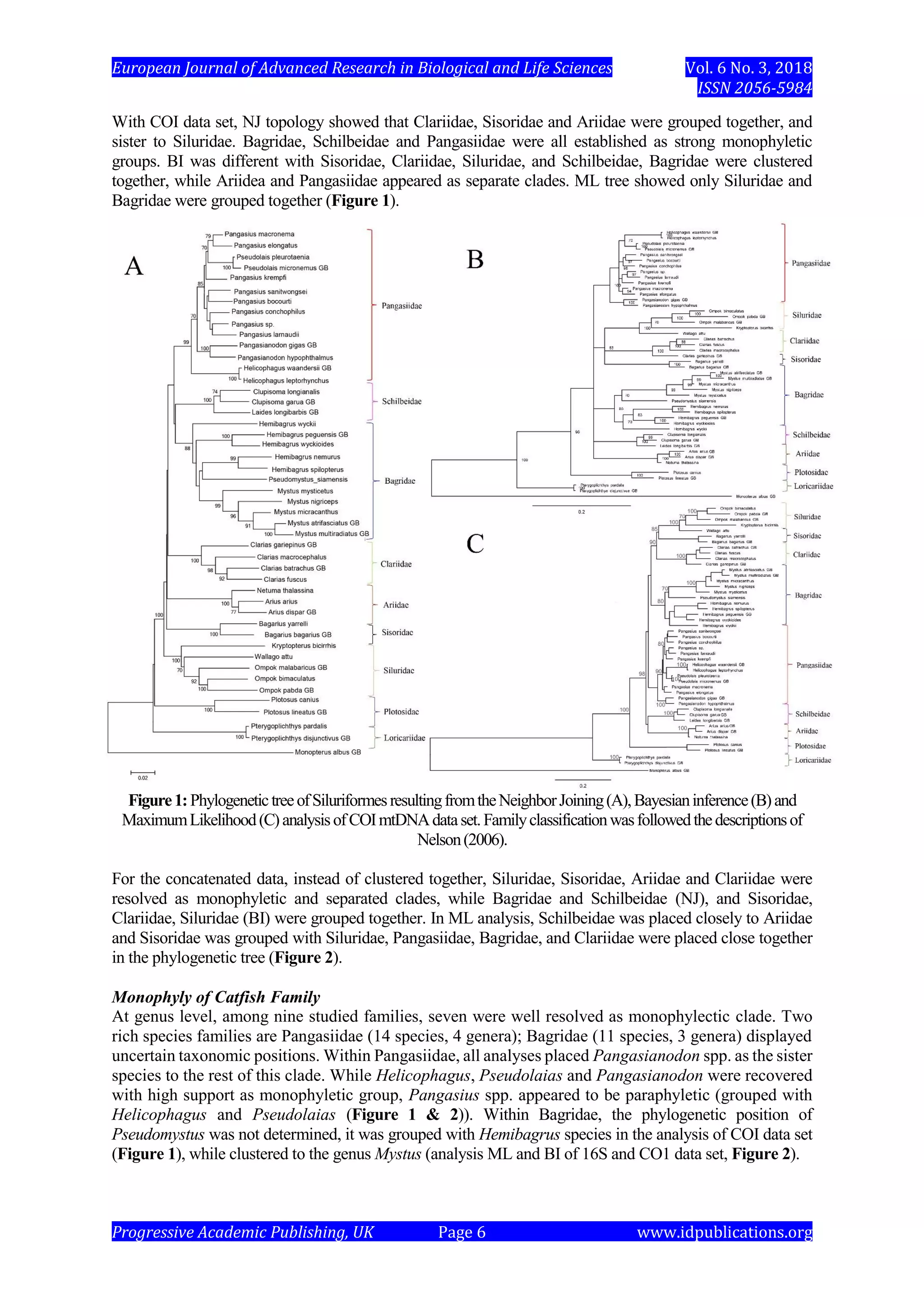 Paper to Upload, MOLECULAR PHYLOGENY OF CATFISHES.pdf | Fish and ...