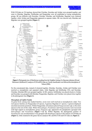 Paper to Upload, MOLECULAR PHYLOGENY OF CATFISHES.pdf