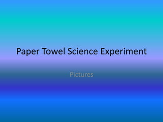 Paper towel science experiment1 | PPTX