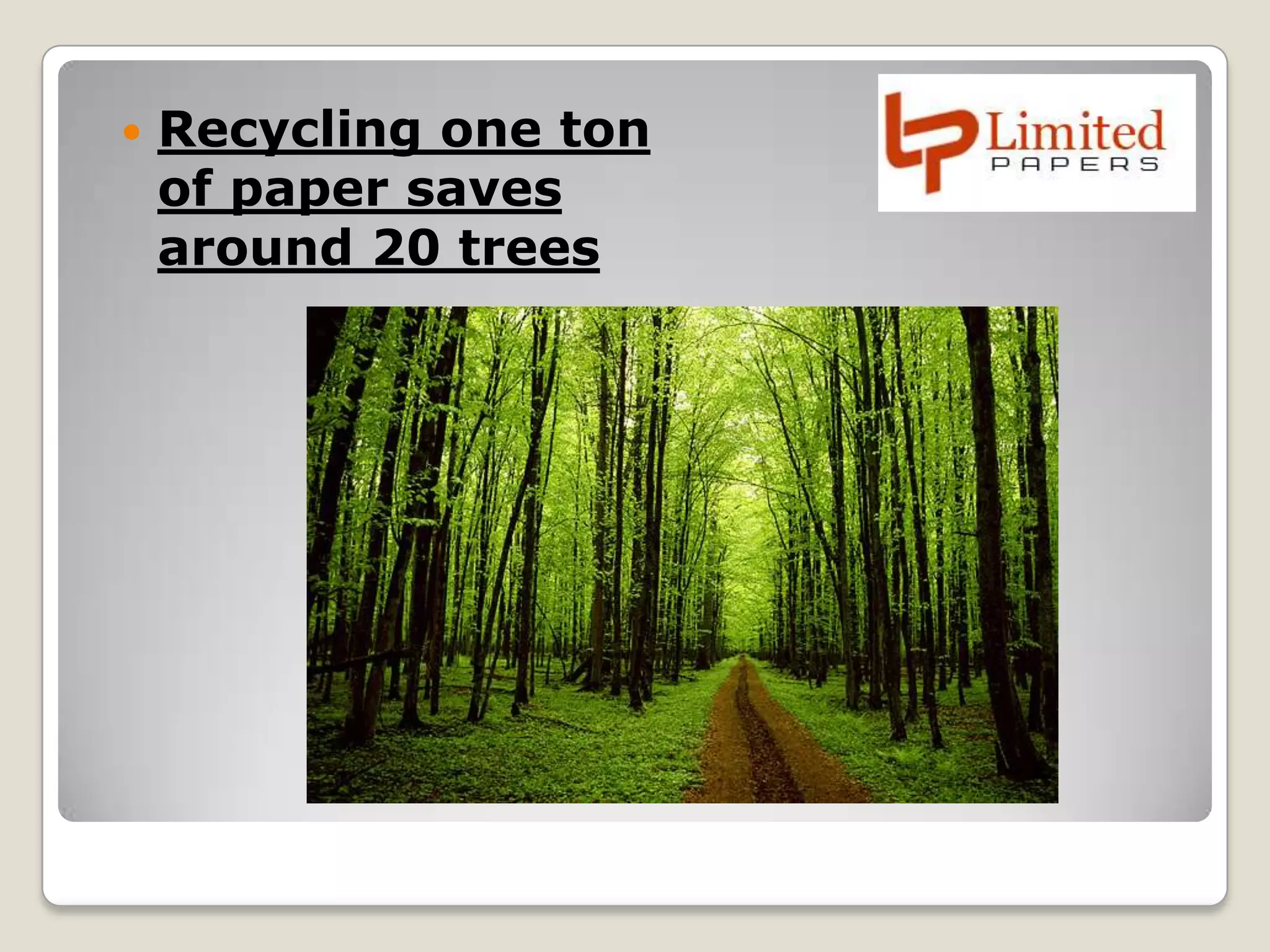 Paper Trivia and Fun Facts | PPTX