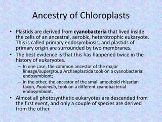 ENDOSYMBIOTIC THEORY | PPTX
