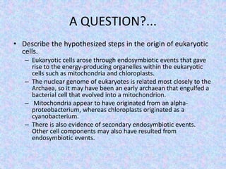 ENDOSYMBIOTIC THEORY | PPTX