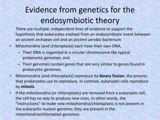 ENDOSYMBIOTIC THEORY | PPTX