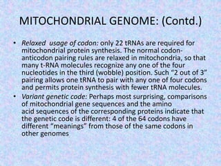 Genetics of Mitochondria | PPTX