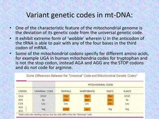 Genetics of Mitochondria | PPTX