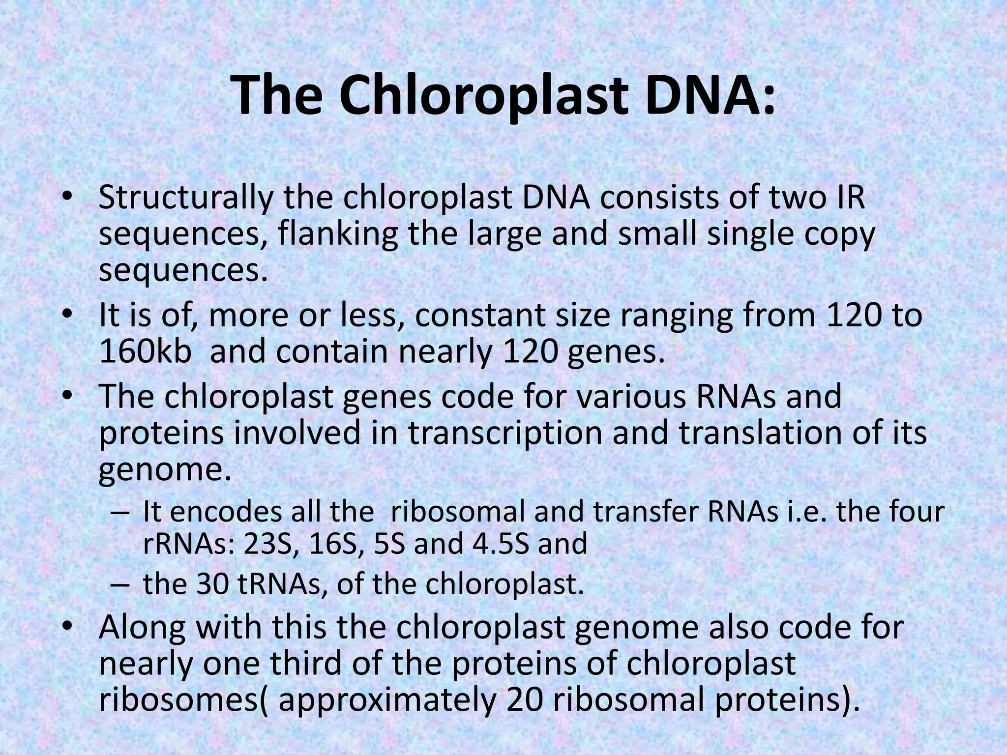 Chloroplast Genetics | PPTX