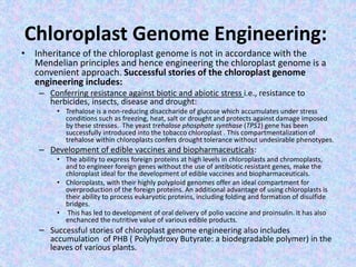 Chloroplast Genetics | PPTX