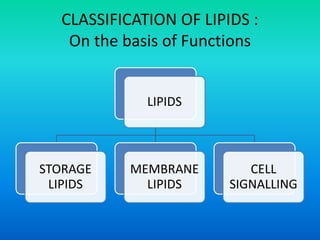 Lipids: Structure and Functions | PPTX