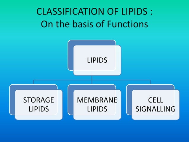 Lipids: Structure and Functions | PPTX | Chemistry | Science