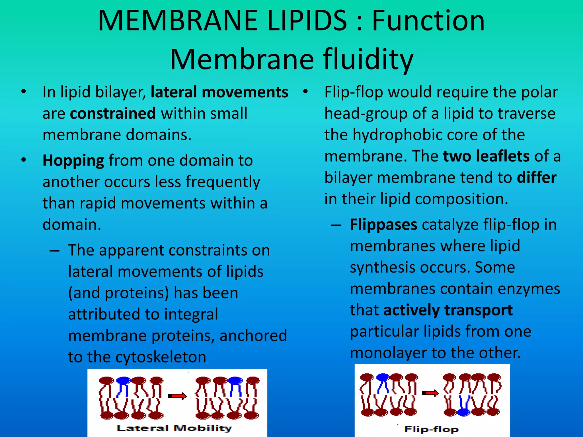 Membrane lipids contd | PPTX