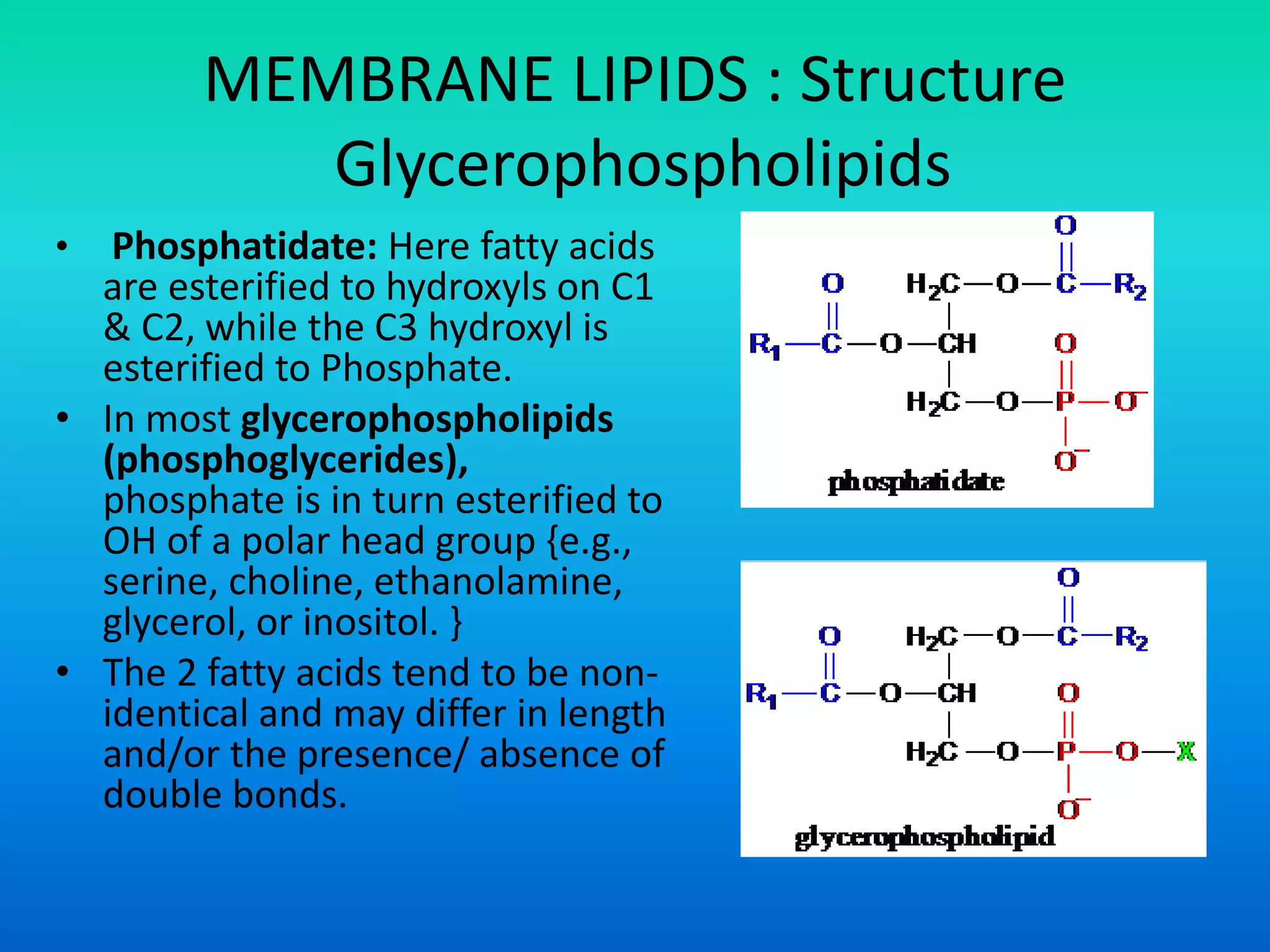 Membrane lipids contd | PPTX