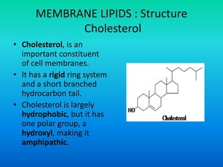 Membrane lipids contd | PPTX