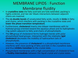 Membrane lipids contd | PPT