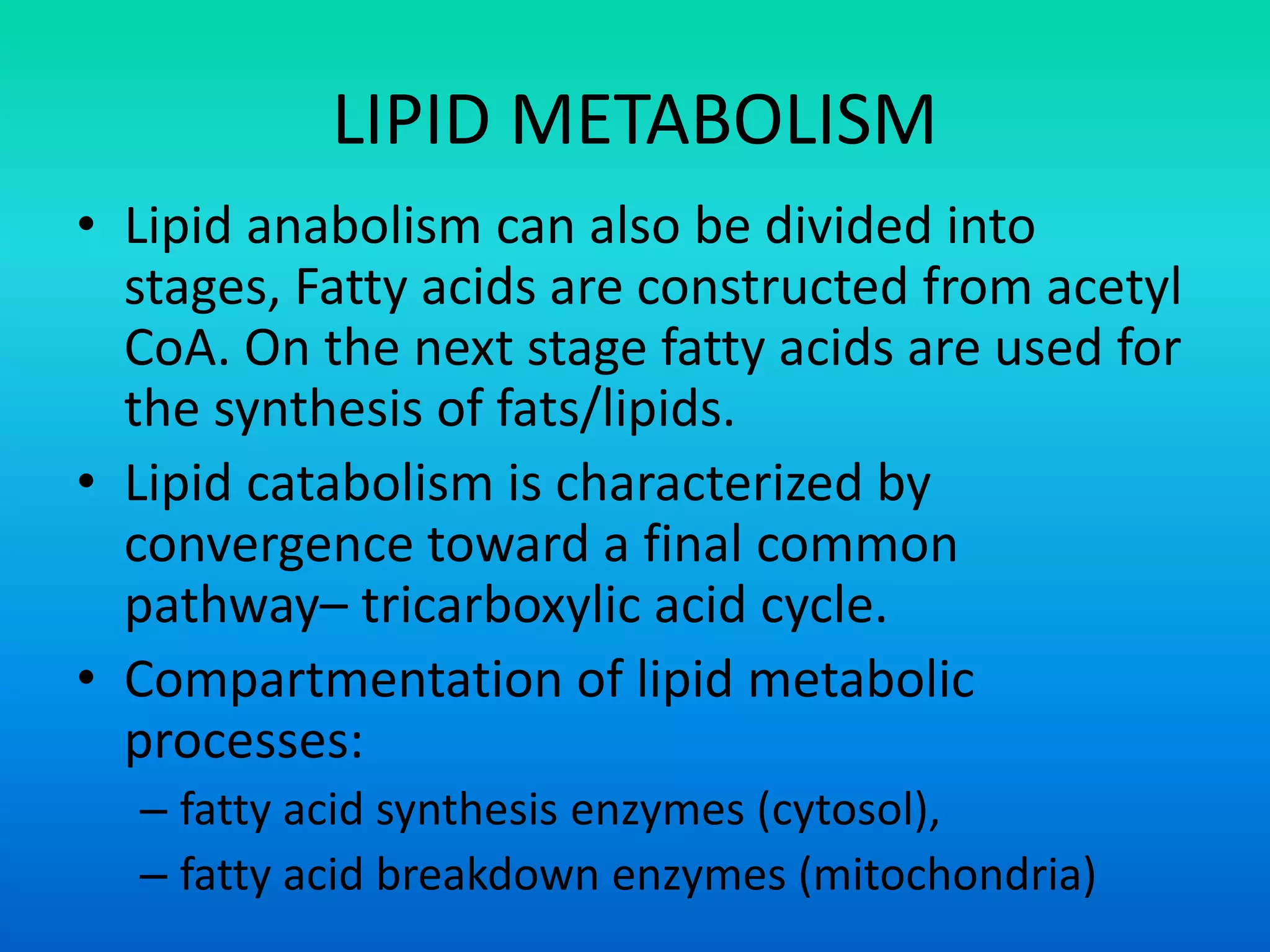Lipid Metabolism: Anabolism | PPTX