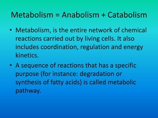 Lipid Metabolism: Anabolism | PPTX
