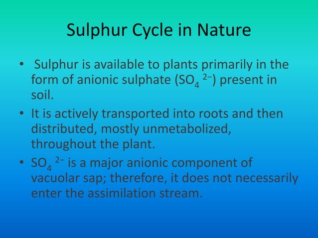 Sulphur: the macronutrient | PPT