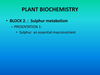 Sulphur: the macronutrient | PPT