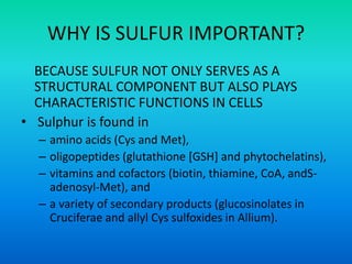 Sulphur: the macronutrient | PPT
