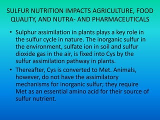 Sulphur: the macronutrient | PPT