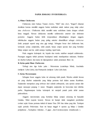 Paper zoologi invertebrata mimi | DOCX