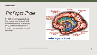 papez circuit, anatomy, clinical significance and relevance .pptx