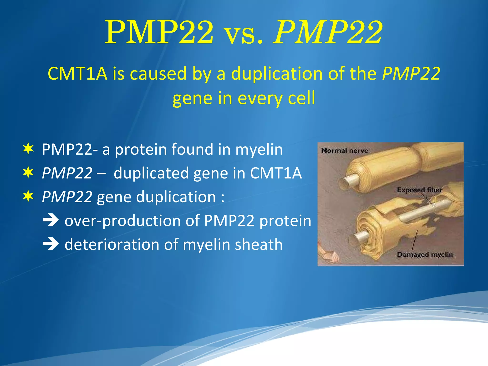 CMT slides: understand the disease. | PPT