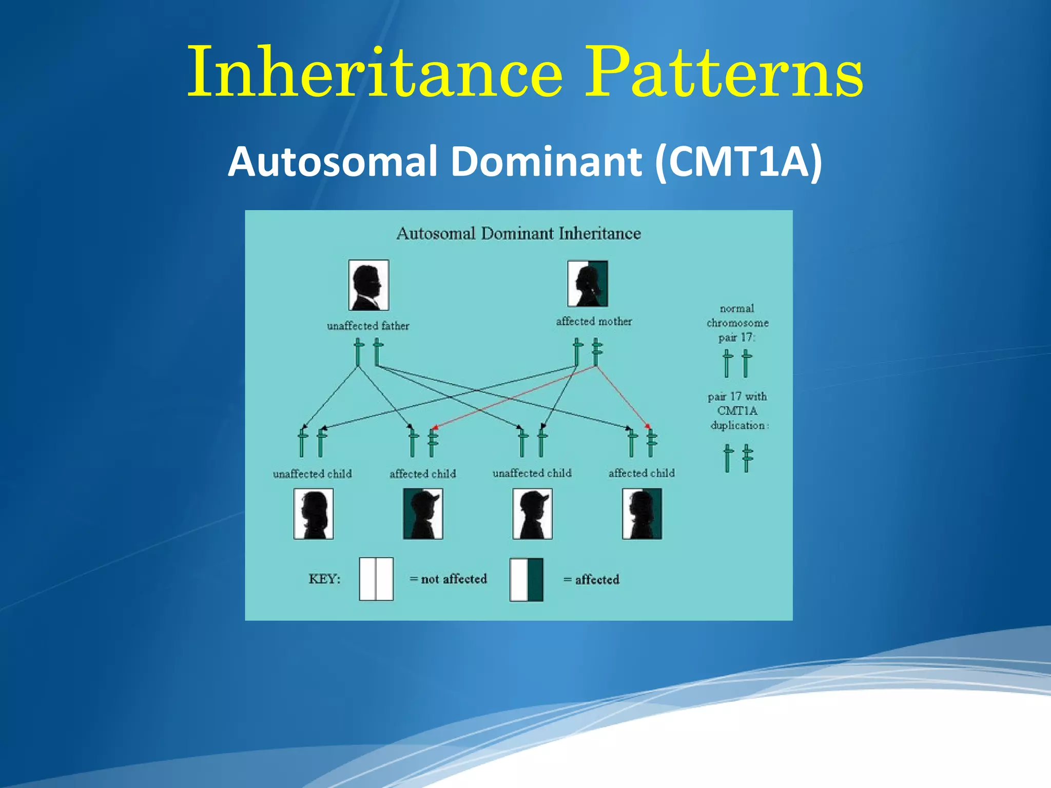 CMT slides: understand the disease. | PPT