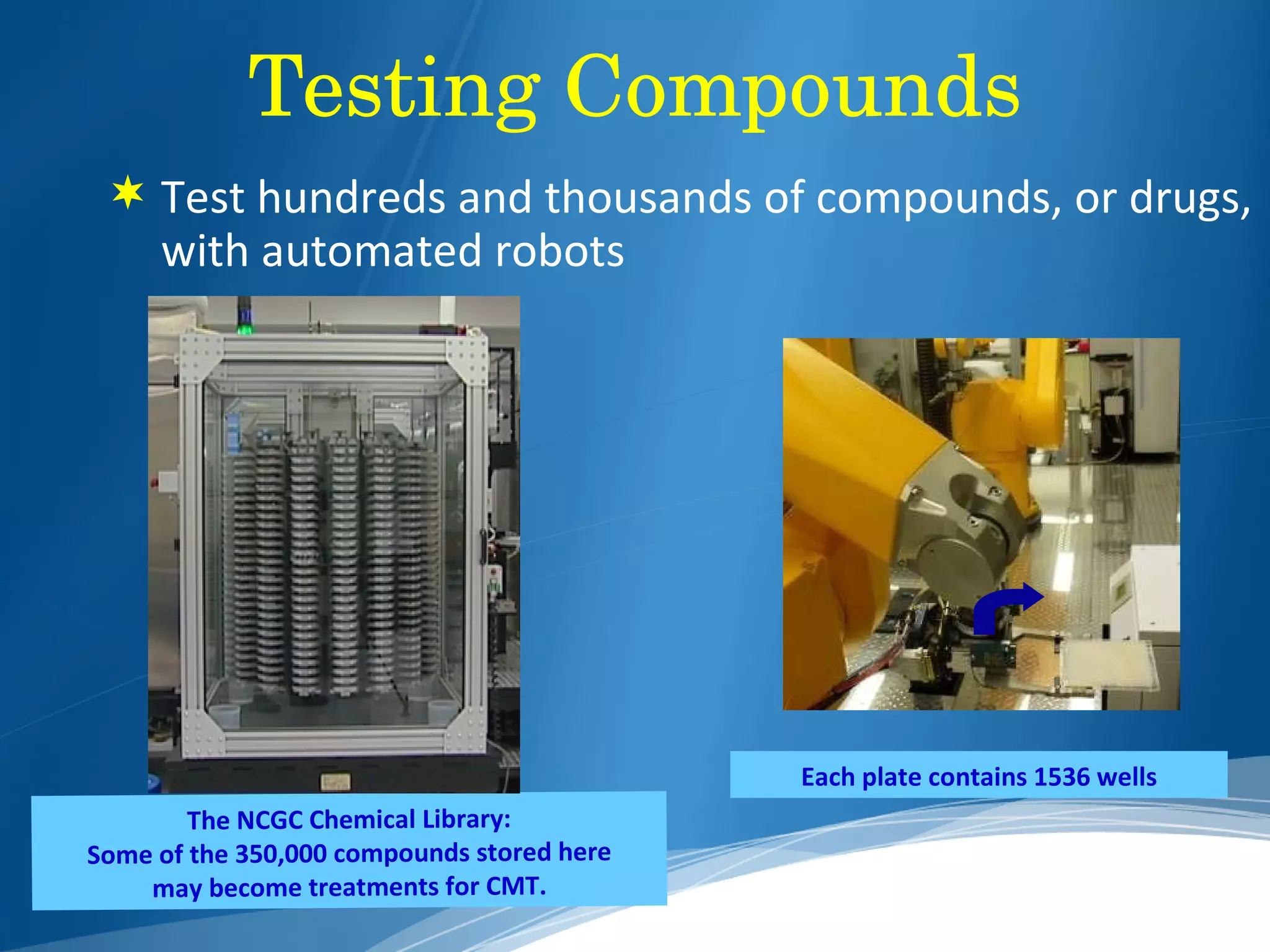 CMT slides: understand the disease. | PPT